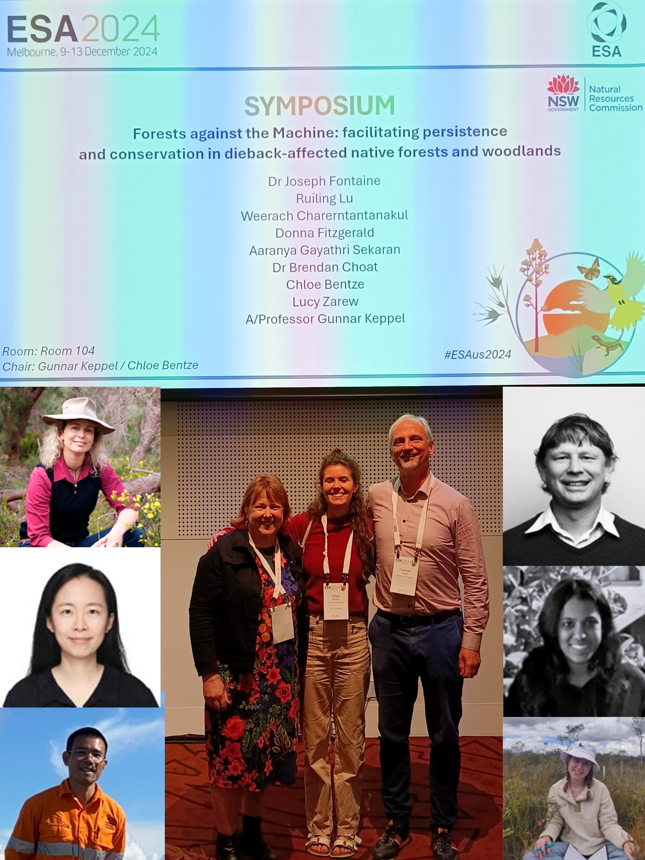 Forest dieback induced by climate change: an emerging challenge for ...
